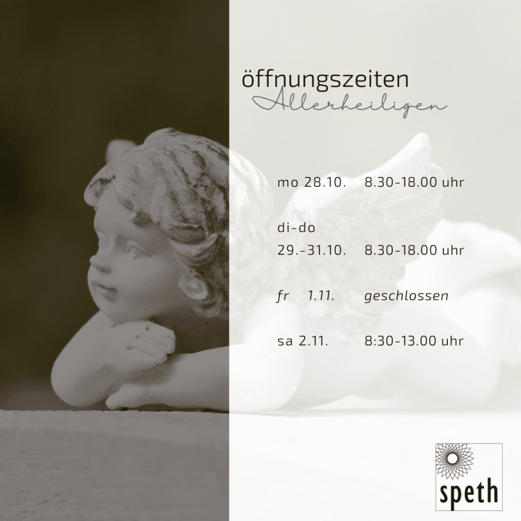 Advent & Weihnachten | Blumen Speth